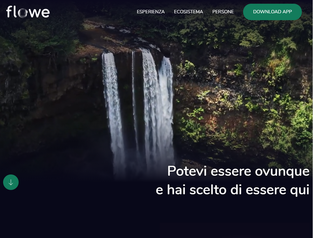 Flowe: We empower people to live a meaningful, sustainable and happy life