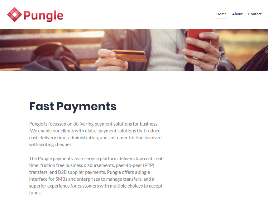 Pungle: Fast Payments